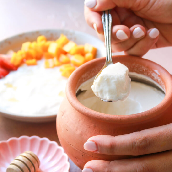 Indian Dahi | Homemade Indian Yogurt + Video - The Whisk Addict - Easy ...